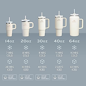 Stanley Quencher H2.0 Tumbler with Handle and Straw 30 oz | Flowstate 3-Position Lid | Cup Holder Compatible for Travel | Insulated Stainless Steel Cup | BPA-Free | Almond Rose