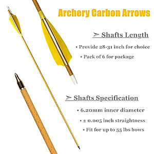Carbon Arrows 500 Spine with Real Feather Fletching and Field Points for Archery Target Shooting (6 Pack)