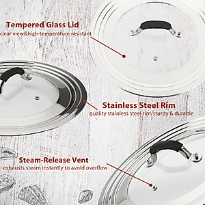 WishDirect 15 Inch Large Universal Pans Pots Lid Cover Fits 11/12/13/14/15" Frying Pans/Pots/Woks, Stainless Steel and Tempered Glass Lid with Vent Hole and Heat Resistant Handle