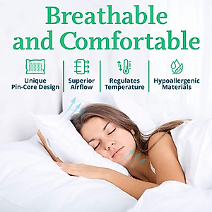 OrganicTextiles Talalay Latex Pillow with Organic Cotton Cover (Queen Size, Soft), GOTS Certified, Bed Pillow for Sleeping, Neck Pain Relief Help, Head Support, for Side Back Stomach Sleeper