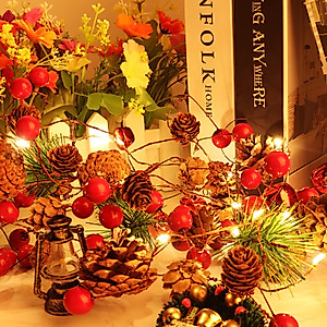 TOPIST Christmas Pinecone Lights Battery or USB Plug in, 6.7FT 20LED Red Berry with Pine Cone Christmas Garland Lights LED String Lights Fairy Lights for Xmas Tree Party Home Holiday Decor