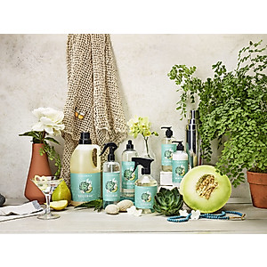 Caldrea Dish Soap, Biodegradable Dishwashing Liquid made with Soap Bark and Aloe Vera, Pear Blossom Agave, 16 oz , 3 Pack