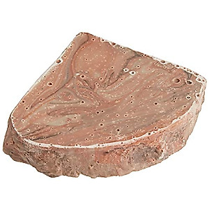 Fluker's Corner Rock Bowl, Food & Water Dish for Hermit Crabs, Medium 6"