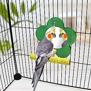 Bird Parrot Mirror with Perch Natural Wood Swing Colorful Sand Grind Paw Trim Beak for Small Parrot Parakeet Cockatiel Lovebird Conure Finch Budgie (Flower-Shaped)
