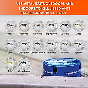Homeplus™ Ant Killer AB, Metal Ant Bait, Ants Killer for House, Ant Traps Indoor & Outdoor, 4 Pack