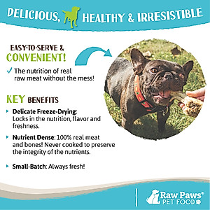 Raw Paws Freeze-Dried Turkey Necks for Dogs, 4-oz (3 Count) - Made in USA - Single Ingredient Dog Chew - Raw Freeze Dried Dog Treats - Dog Freeze Dried Treats - Freeze Dried Treats for Dogs