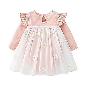Toddler Baby Girls Dresses Infant Flower Embroidery Tulle Dresses Long Sleeve Newbron Baby Girls Clothes Outfit, 12-18M