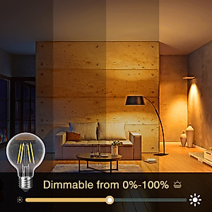 SHINESTAR 8-Pack G25 Globe Light Bulbs, Warm White 2700K, Dimmable, E26 LED Bulb 60 watt Equivalent, Vintage Light Bulbs for Vanity Mirror