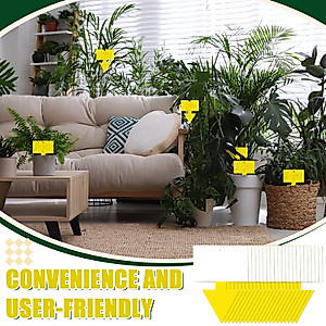 Qualirey 100 Pcs Fruit Fly Traps for Indoors Dual Sided Fungus Gnat Killer Yellow Sticky Bug Fly Trap Indoor for Outdoor Use House Kitchen Plants Mosquitos Whitefly Flying Insects Houseplant