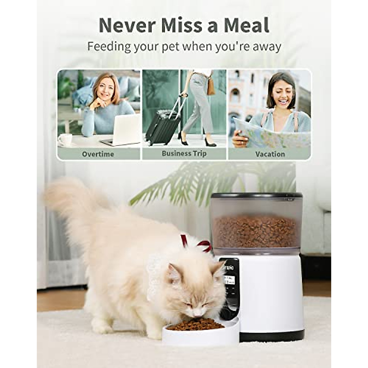 Automatic Cat Feeder, Arspic 4L Auto Cat Food Dispenser with Programmable Timer Feeder and Portion Control Automatic Pet Food Feeder for Small & Medium Cats Dogs with Desiccant Bag & Voice Recorder