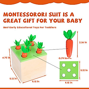 Montessori Toys for 1+ Year Old Baby Gifts,Play Kit Box Includes Carrot Harvest Games,Infant Coin Box,Fine Motor Skills Toys and Object Permanence Box,Montessori Toys for Babies 6-12 Month(4-in-1)