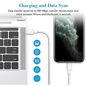 esbeecables Lightning Cable Adapter for iPhone iPhone 14/13/12/11/XS/XR/X/8/iPad (Lightning Cable with Adapter)