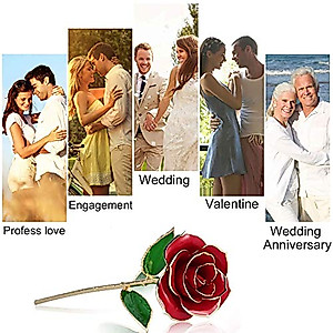 Suturun Gold Dipped Rose,24K Gold Rose with Transparent Stand,Real Long Stem Eternity Rose Flower Best for Her,Mom,Wife,Girlfriend,Anniversary,Mothers Day,Birthday,Valentine's,Wedding