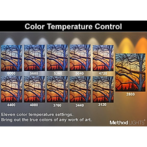 Method Lights ML-Direct Plus Screw in Picture Light LED, Home Improvement Light Fixture Ready & Art Studio