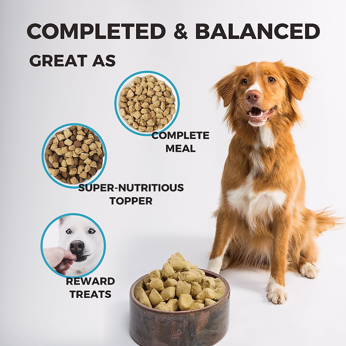 FURRY · WONDER . Freeze Dried Raw Dog Food Salmon and Cod Recipe 16 Ounce, USA Made Grain Free High Protein Dog Food for Complete Meal or Food Topper, Freeze Dried Raw Diet for Skin & Coat Vitalize