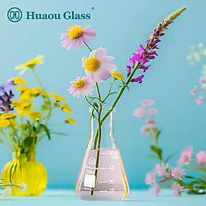 50ml Glass Erlenmeyer Flask Set, Narrow Mouth Graduated Flasks, 3.3 Borosilicate Glass, Ideal for Laboratory, Classroom or Home Use, HUAOU, Pack of 6