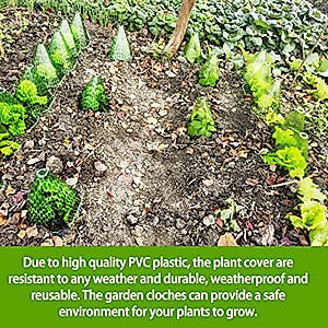 25 Pack Garden Cloches for Plants - Reusable Plant Bell Cover Outdoor with 50 Tent Stakes Protect Plants from Birds, Squirrels, Frost, Hail. (Green)