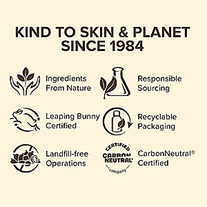 Burt's Bees Lotion, Hydrating Aloe & Coconut Oil Sun Burn Relief, Natural After Sun Soother, 6 Ounce (Packaging May Vary)