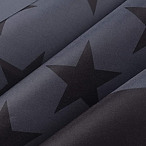 Black American Flags 3x5 ft - Vivid Color and Fade Proof - Canvas Header and Double Stitched - All Black US/USA Flag Polyester with Brass Grommets Outdoor Indoor (2 PACK)