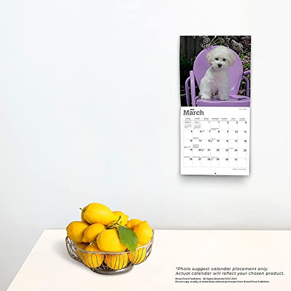 Bichon Frise Puppies | 2023 7 x 14 Inch Monthly Mini Wall Calendar | BrownTrout | Animals Dog Breeds Puppy DogDays