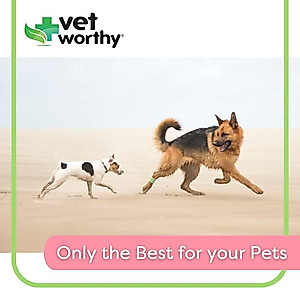 Vet Worthy Self Adhering Wrap for Dogs - Self Adhesive Bandage Wrap for Wounds, Injury, Sprain, and Swelling - Cohesive Bandage First Aid Tape for Dogs and Cats (2-Inch x 5-Yard (Pack of 6))