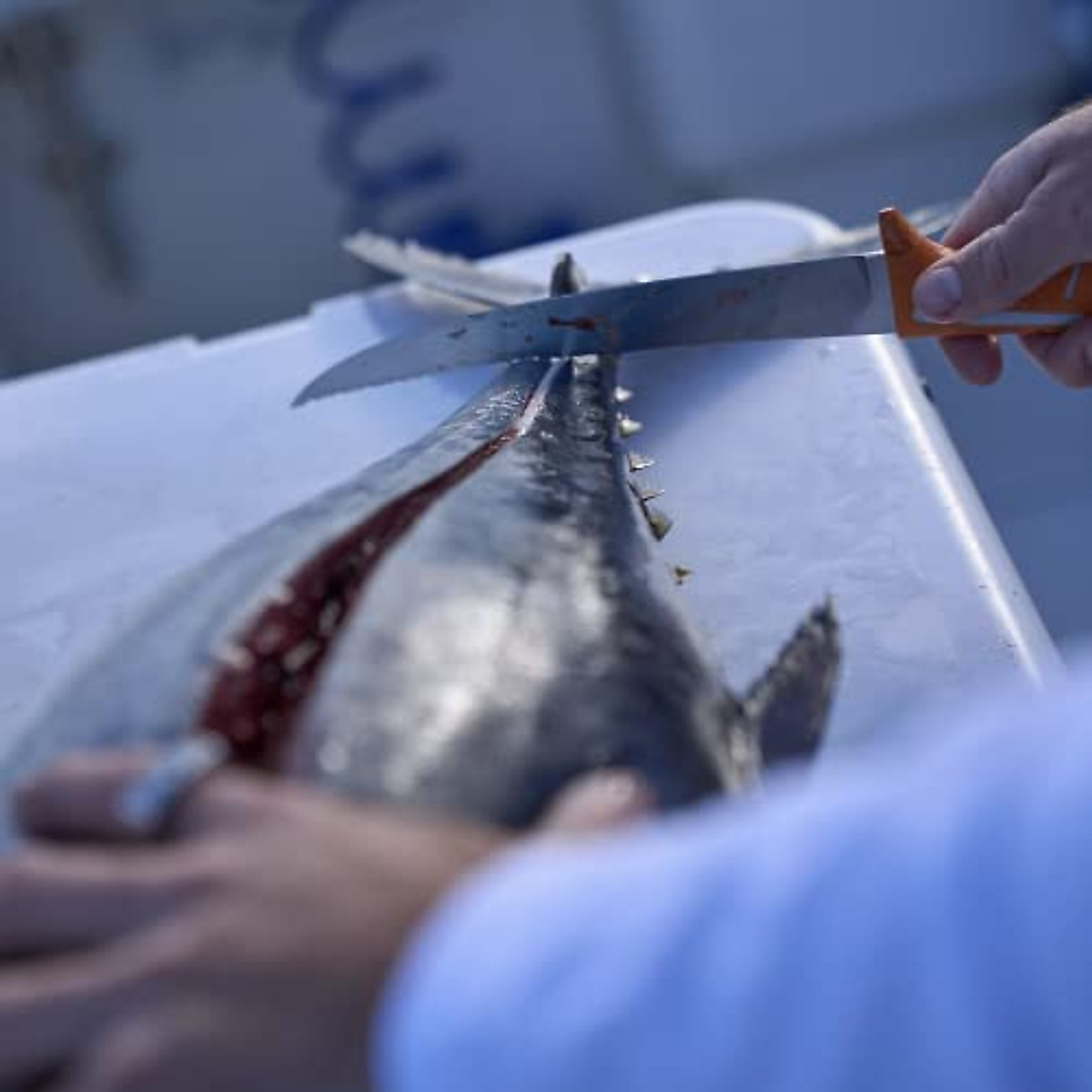 Dexter Dextreme 24914 Knife