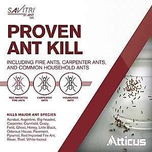 Savitri Ant Gel Bait (4 x 30 Grams) by Atticus (Equivalent to The Leading Brand) - Indoxacarb Ant Control for Indoor and Outdoor Use