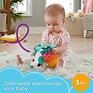 Fisher-Price Newborn Toy Cuddle ‘N Snuggle Hedgehog Plush with Sounds and Textures for Infant Sensory Play Ages 3+ Months