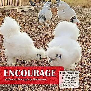 Pecking Order 9328 009328 Mealworm & Sunflower Treat, 3 lb