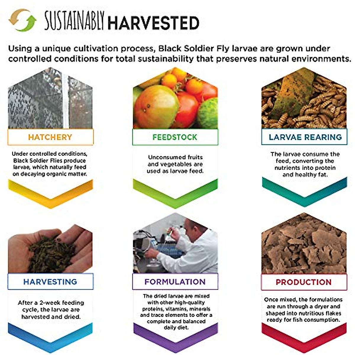 Fluval Bug Bites Tropical Fish Food, Flakes for Small to Medium Sized Fish, 3.17 oz, A7332, Brown