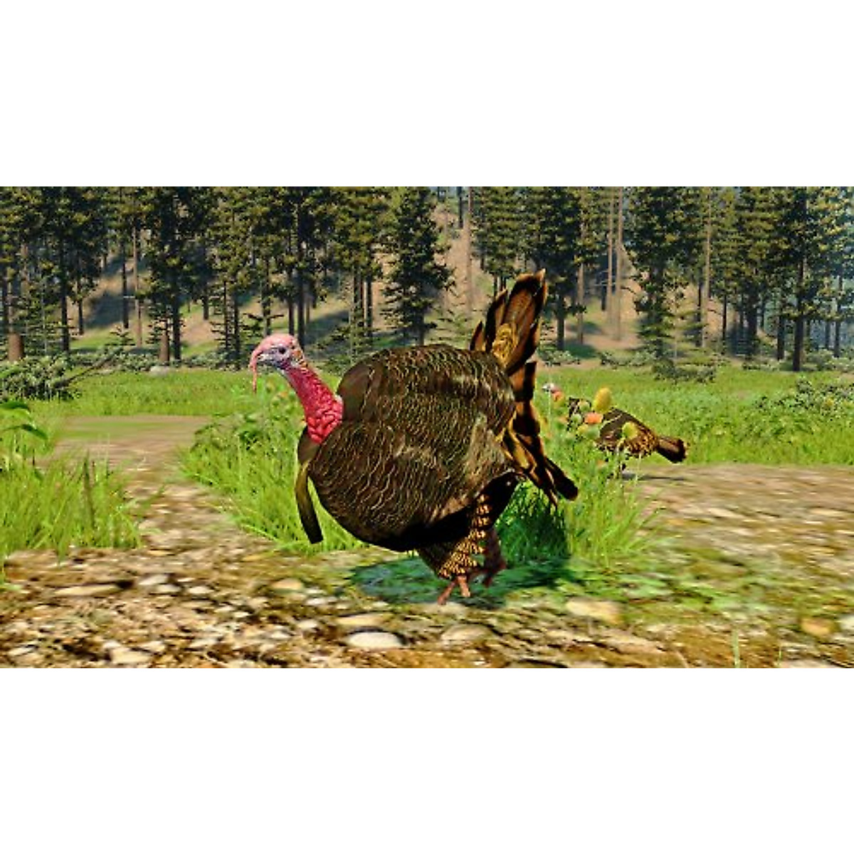 Cabela's North American Adventures