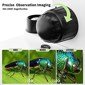 USCAMEL 40X-1000X Magnification LED Binocular Compound Microscope,Professional Compound Microscope with Wide-Field 10X 25X Eyepieces,Microscope Slides,Phone Adapters,Cleaning Paper