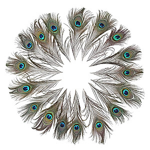 12 PCS Real Natural Peacock Eye Feathers 10-12 inch for DIY Craft, Wedding and Holiday Decorations