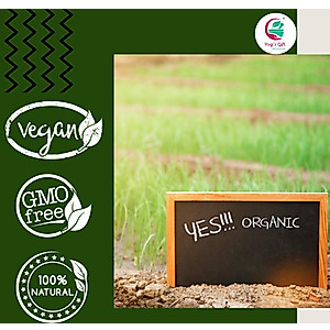 500 GRAMS | 100% Pure INDIGO POWDER for Hair (1.2LB /17.6 oz) | Ideal for Black and Dark Hair | Indigofera Tinctoria | Black Henna | Natural Hair color | Yogi's Gift