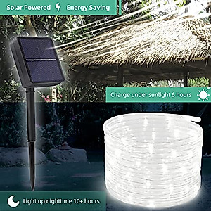 PETVAY LED Solar Rope Lights Outdoor Waterproof, 33 Ft 100 LED with 8 Flashing Modes & 800 mAh Battery, Solar Powered Outdoor String Lights for Pool Patio Garden Tree Path Camping Christmas