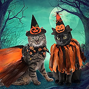 6 Pcs Dog Costumes Cat Witch Costume Suit Include Pet Pumpkin Witch Hat Halloween Cat Collar with Bells Dogs Cats Tutu Skirt for Pets Kitten Puppy Birthday Holiday Outfit