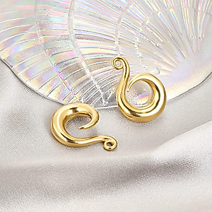 Longbeauty DIY Ear Weight Hook for Ear Piercing Jewelry 316L Stainless Steel Gauges Plugs Dangle Ear Hangers Pierced Expanders 0g