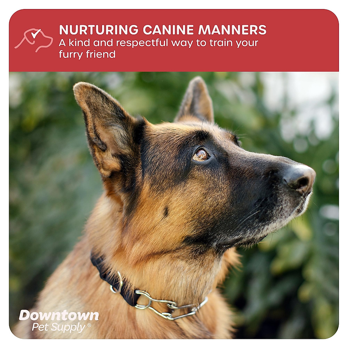 Downtown Pet Supply Chrome Plated/Nylon Prong Collar for Dogs, Medium - Adjustable, No-Choke and No Pull Dog Collar with Removable Links - Pinch Collar for Dogs 20-40 lbs and 20" Neck Width