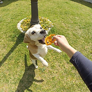 M.C.works Puppy Chew Toys Teething Pacifier, Small Dog Teething Rings Toys for Puppies Within 2 Month, Treat Dispensing Toy Soft Rubber, Newest Design Pack of 2.