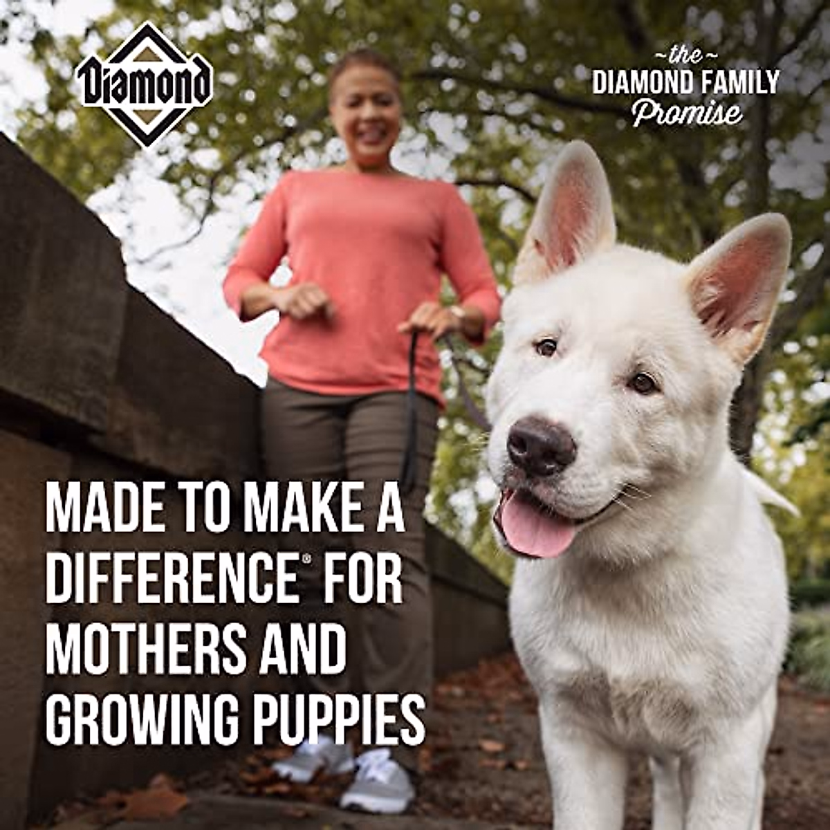 Diamond Premium Recipe Complete And Balanced Dry Dog Food For Growing Puppies, 8Lb