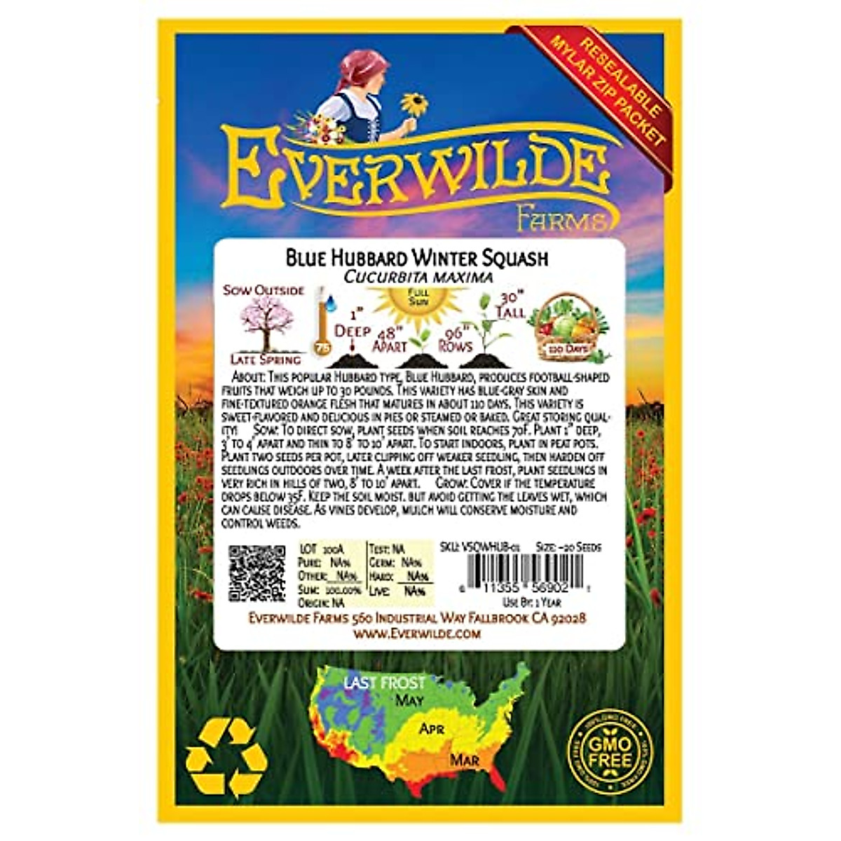 Everwilde Farms - 20 Blue Hubbard Winter Squash Seeds - Gold Vault Jumbo Seed Packet