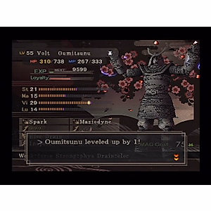 Shin Megami Tensei Devil Summoner - PlayStation 2