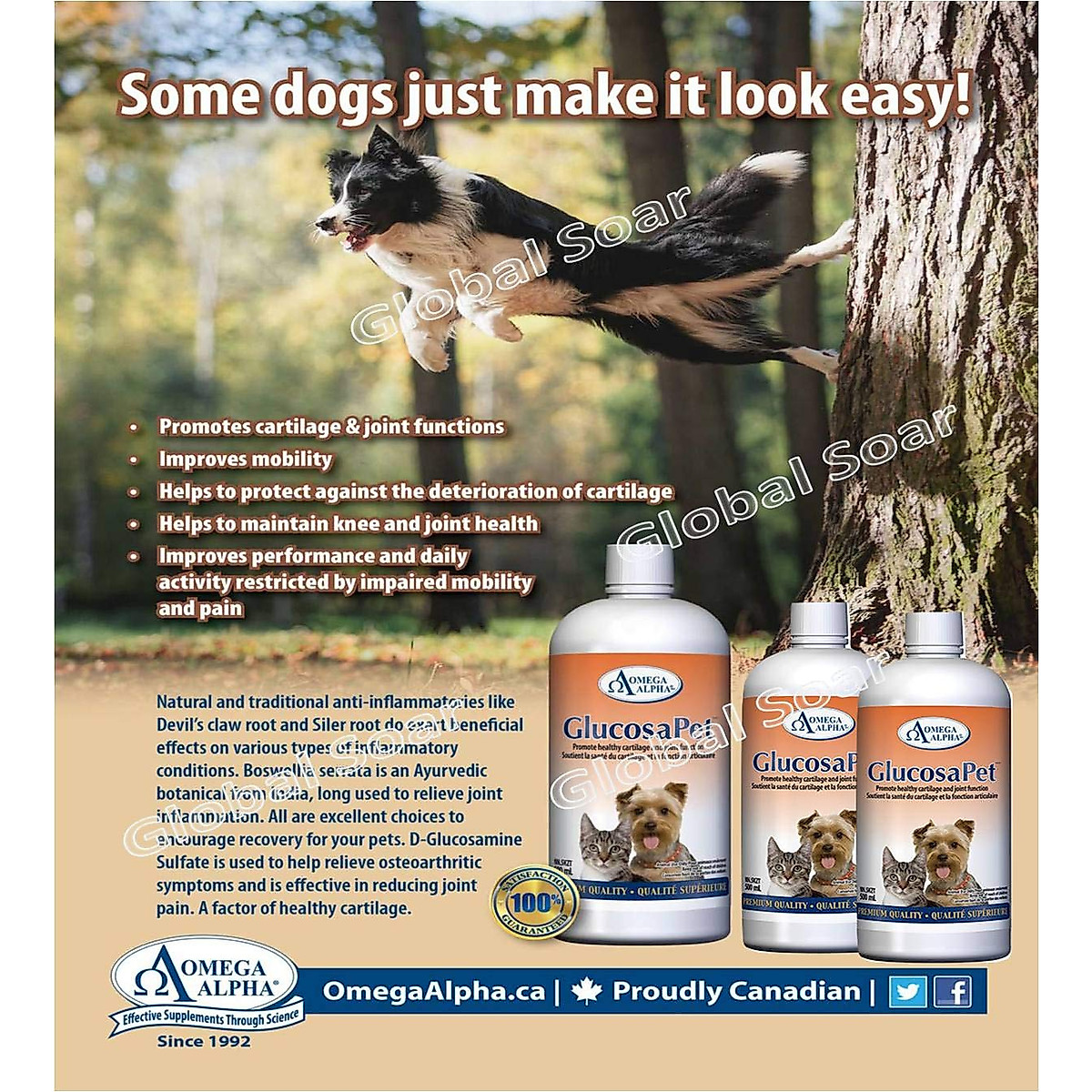 Omega Alpha Pets Performance and Mobility- GlucosaPet (1L)