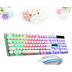 HJJWL Gaming Keyboard and Mouse Combo, RGB Rainbow Backlit Keyboard Compact USB Wired Mechanical Feeling Keyboard for Computer Gamer Office (White),Colour Name:Black (Color : White)