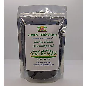 4 oz Garlic Chive Seeds, Non-GMO Microgreen Pure Seed,- Delicious Herb! Microgreens, Sprouting Seeds,- Country Creek LLC. Brand