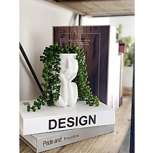 Creative Art Portrait Sculpture Vase Flower Pot Garden Storage Abstract Character Succulents Plant Pot Micro Landscape Decor for Mother's Day (Resin, Red)