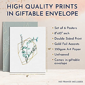 RYVE Botanical Wall Art - Set of 6 Botanical Prints - Art Prints, Plant Wall Decor, Eucalyptus Wall Decor, Plant Wall Art Prints, Green Wall Art Decor, Plant Prints, Leaf Wall Art (8x10 - UNFRAMED)