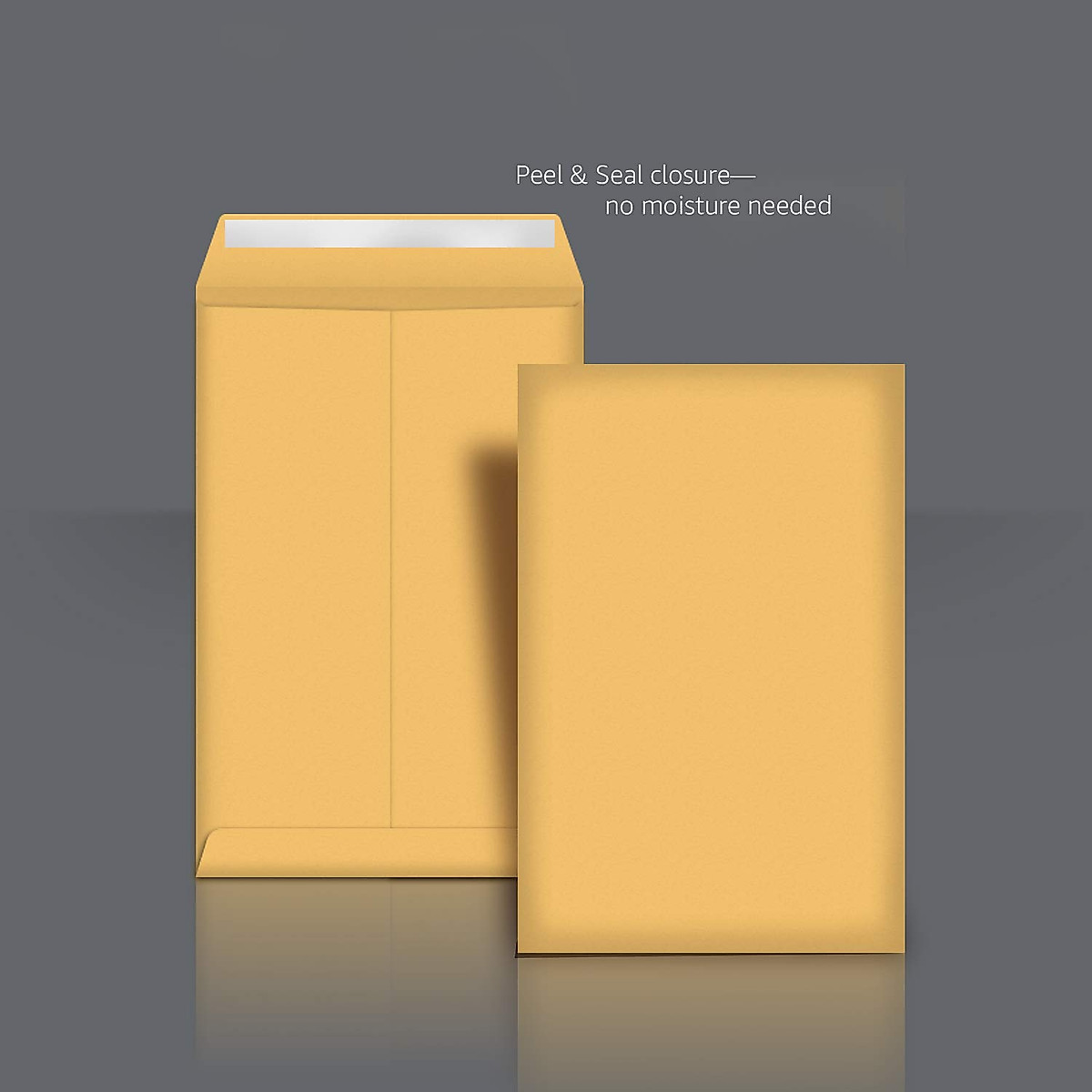 Amazon Basics Catalog Mailing Envelopes, Peel & Seal, 10x13 Inch, Brown Kraft, 100-Pack