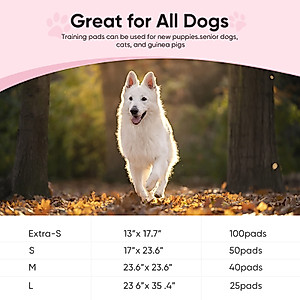 Super-Absorbent Leak-Proof Dog and Puppy Pet Training Pad, Housebreaking Puppy Pads Disposable (18" X 24" - Small 50PCS)