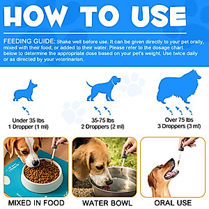 Collagen for Dogs - Skin and Coat Supplement for Dogs, Dog Liquid Collagen, Collagen Supplement for Dogs - Collagen with Biotin, MSM & Ginger - 2 fl oz